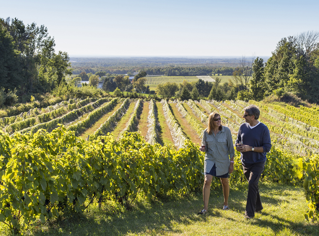 Dunham | Coeur villageois | Eastern Townships (Québec)