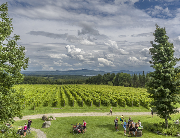 Things to do in the Town of Brome Lake | Tourism Eastern Townships (Quebec)