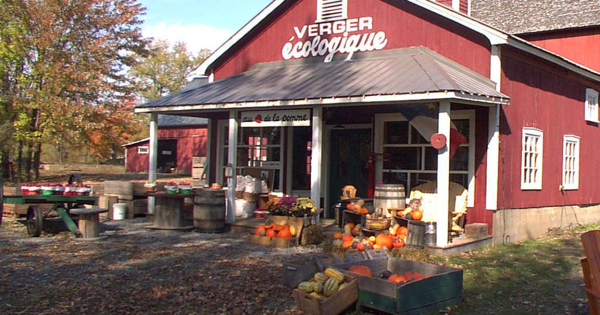 Au Coeur de la Pomme - Frelighsburg | Eastern Townships (Quebec)