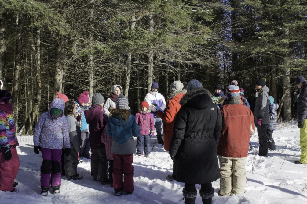 Things to do in Piopolis | Tourism Eastern Townships (Quebec)