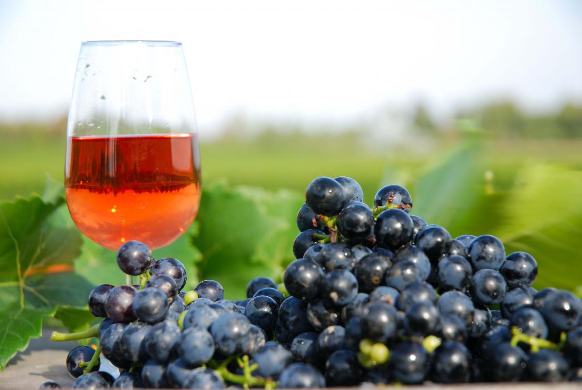 The Eastern Townships, The First Wine Region of Quebec | Eastern ...