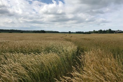 Stanbridge Station | Eastern Townships (Québec)