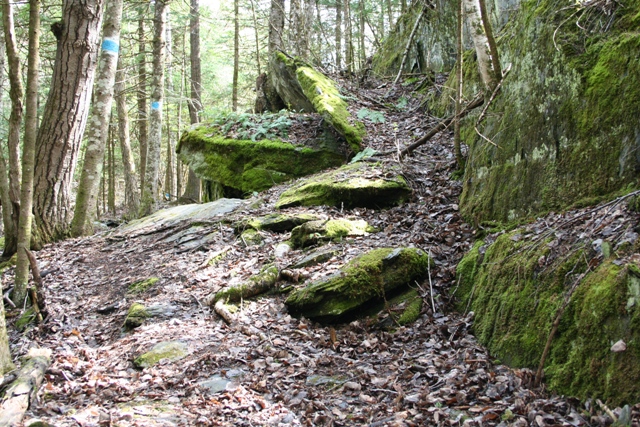 Forêt habitée de Dudswell - Dudswell | Eastern Townships (Quebec)