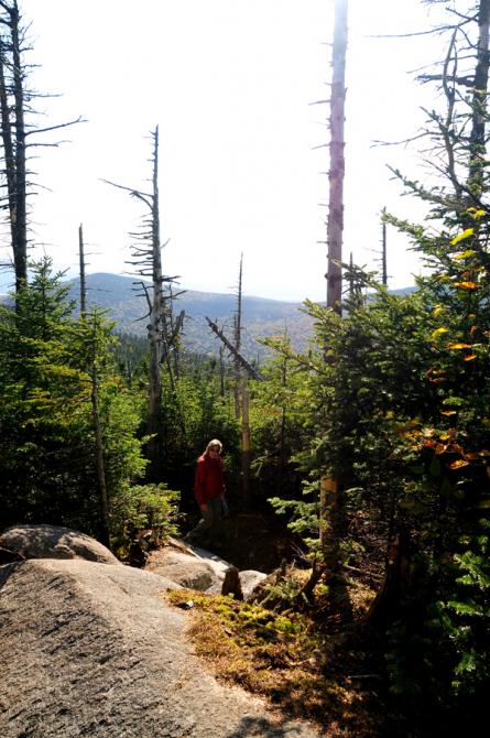 Parc national du Mont-Mégantic - Notre-Dame-des-Bois | Eastern ...