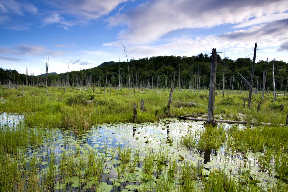 Parc national du Mont-Orford - Orford | Eastern Townships (Quebec)