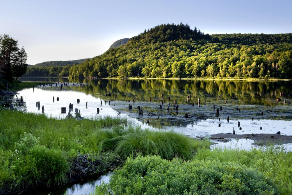 Parc national du Mont-Orford - Orford | Eastern Townships (Quebec)