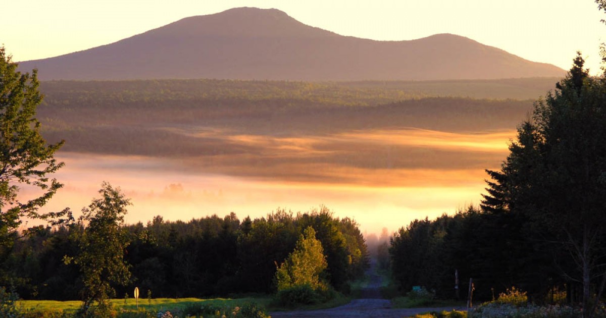 Parc régional du Mont-Ham - Ham-Sud | Eastern Townships (Quebec)