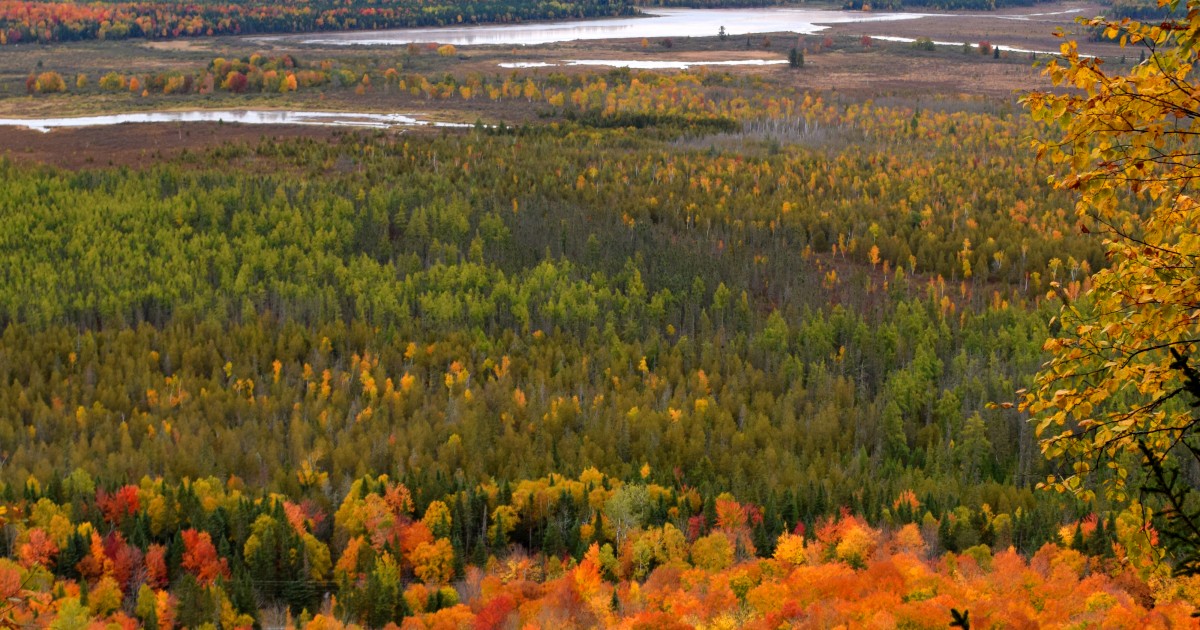 Sentiers de Piopolis - Piopolis | Eastern Townships (Quebec)