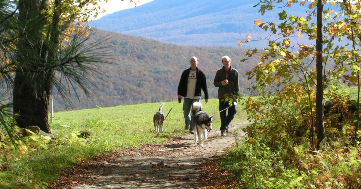 Au Diable Vert « Station de montagne » - Sutton | Eastern Townships ...