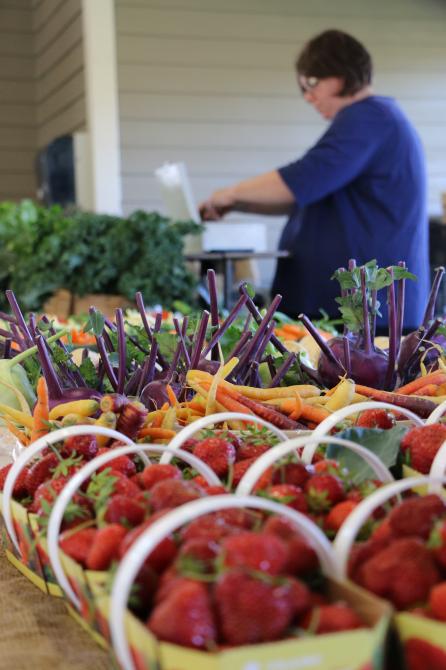 Marché public de Farnham - Farnham | Eastern Townships (Quebec)