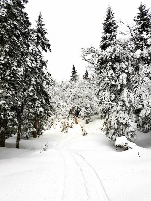 Lauz Altitude - Chartierville | Eastern Townships (Quebec)