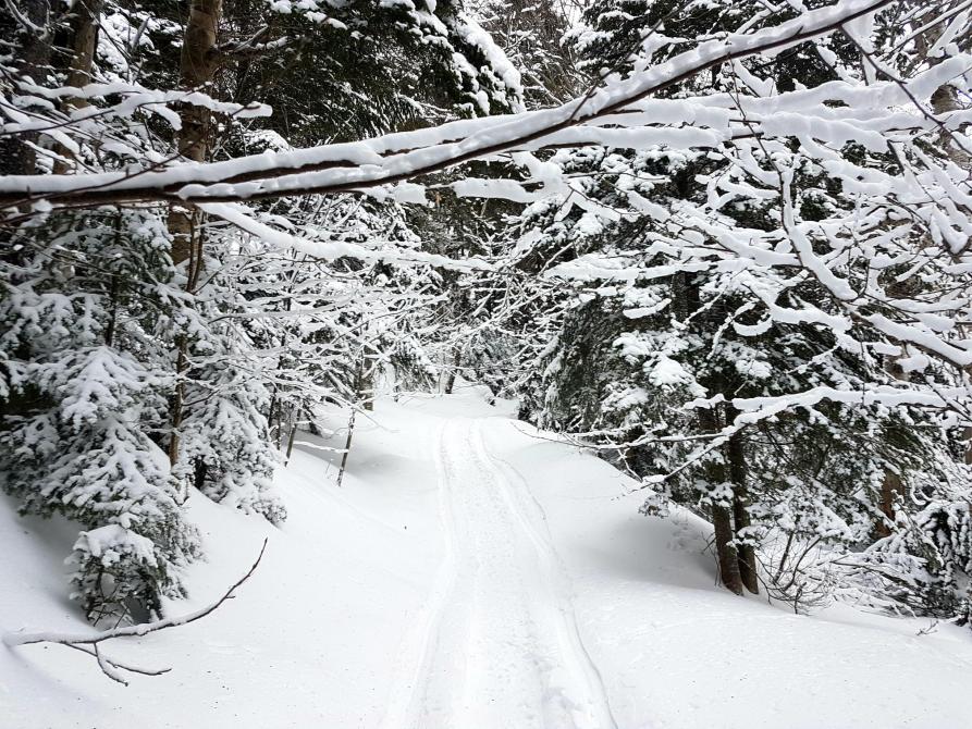Lauz Altitude - Chartierville | Eastern Townships (Quebec)