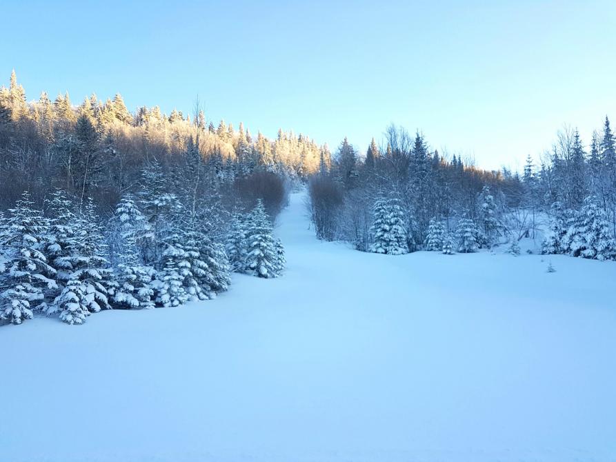 Lauz Altitude - Chartierville | Eastern Townships (Quebec)