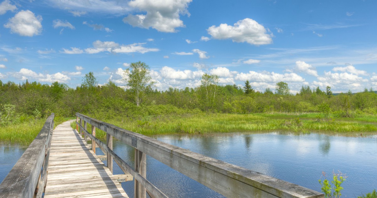Sentier du marais Maskinongé - Stratford | Eastern Townships (Quebec)