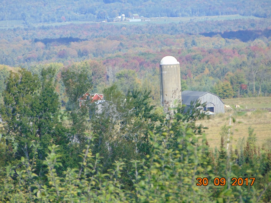 Three Pines Tours - Lac-Brome (Knowlton) | Eastern Townships (Quebec)
