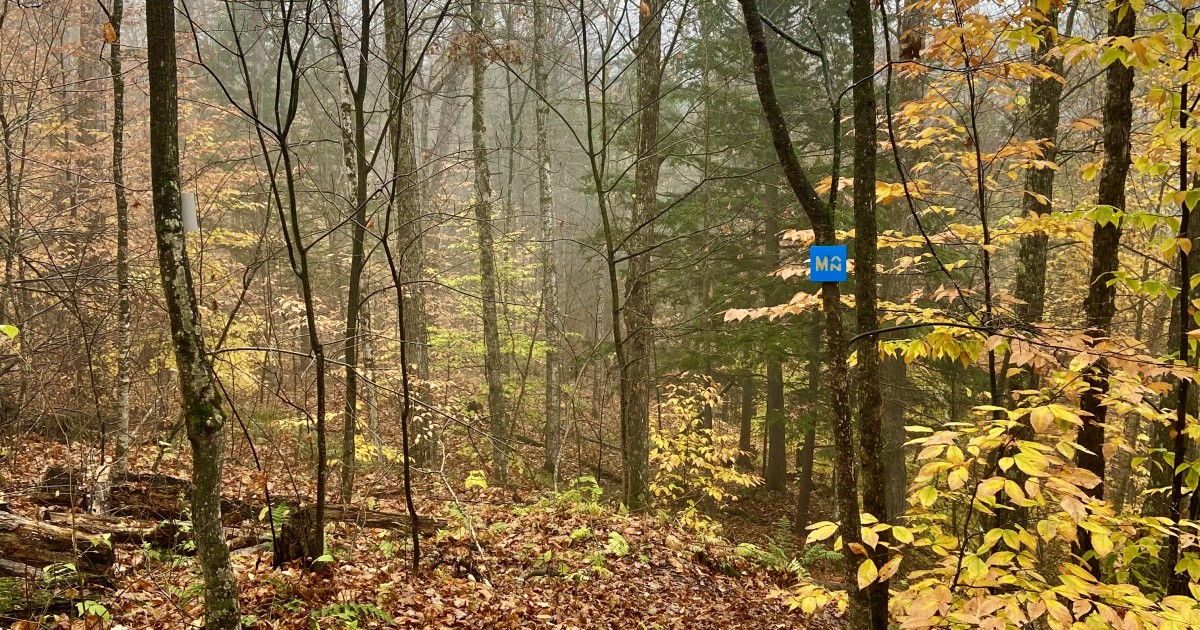 Des ruisseaux Trail - Missisquoi Nord - Sentiers Missisquoi-Nord ...