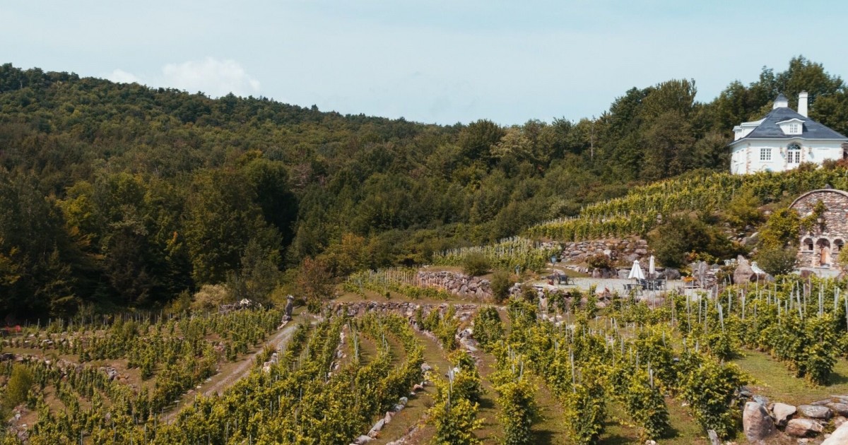 Château Ste-Agnès - Sutton | Eastern Townships (Quebec)