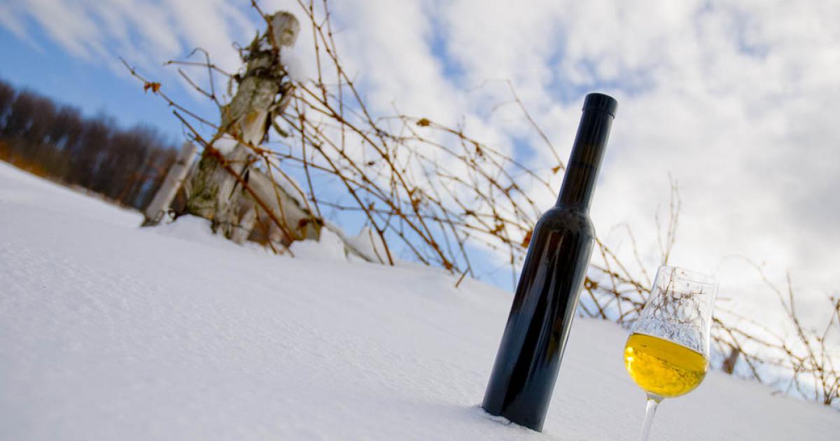 Ice wine From the Townships | Eastern Townships (Quebec)