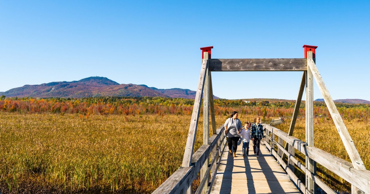 Top Spots for Fall Foliage | Eastern Townships (Quebec)