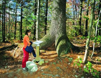 Things to do in Magog | Tourism Eastern Townships (Québec)