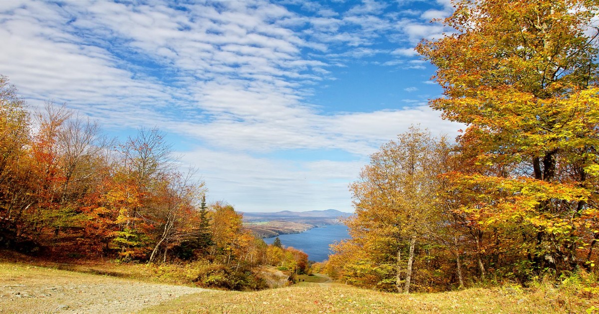 Autumn Getaway: 5 reasons for Stopping in the Townships | Eastern ...